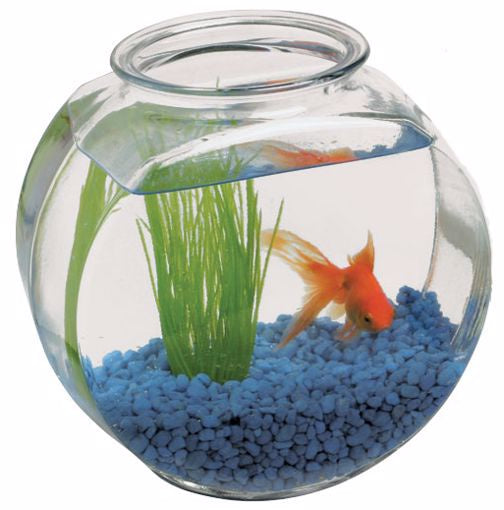 Anchor Fish Bowl - 2 Gallon – My Store